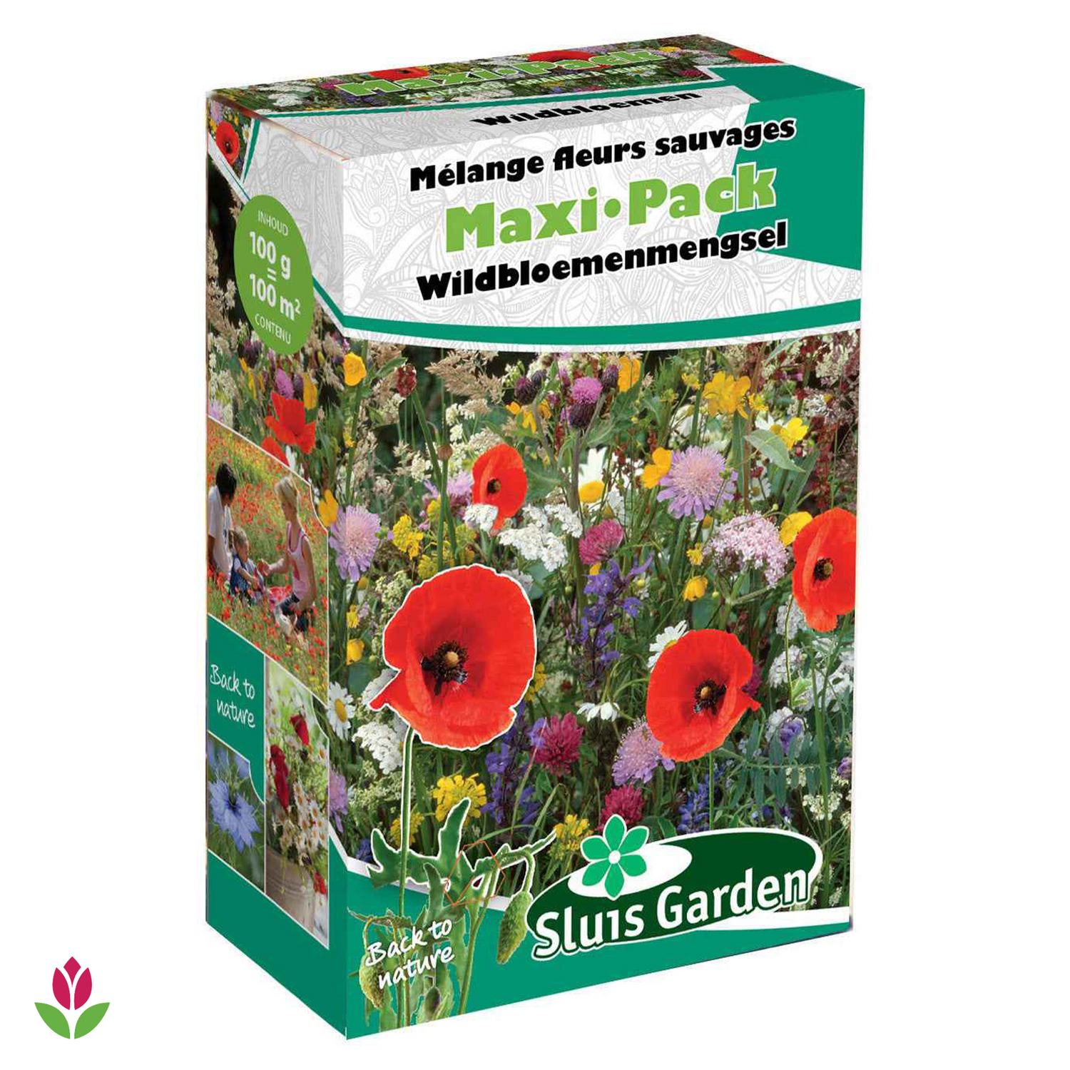 Graines Graines de fleurs sauvages en mélange - 100 m²