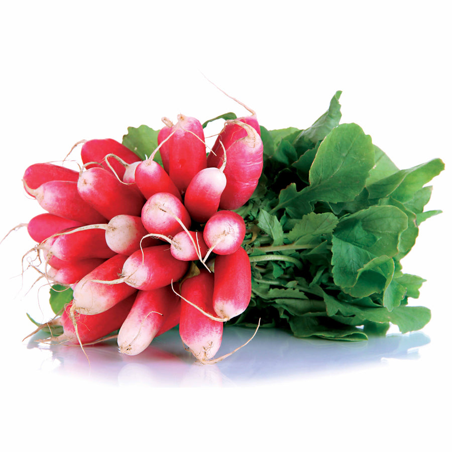 Graines de fruits et légumes | Achat, Vente en ligne - Willemse