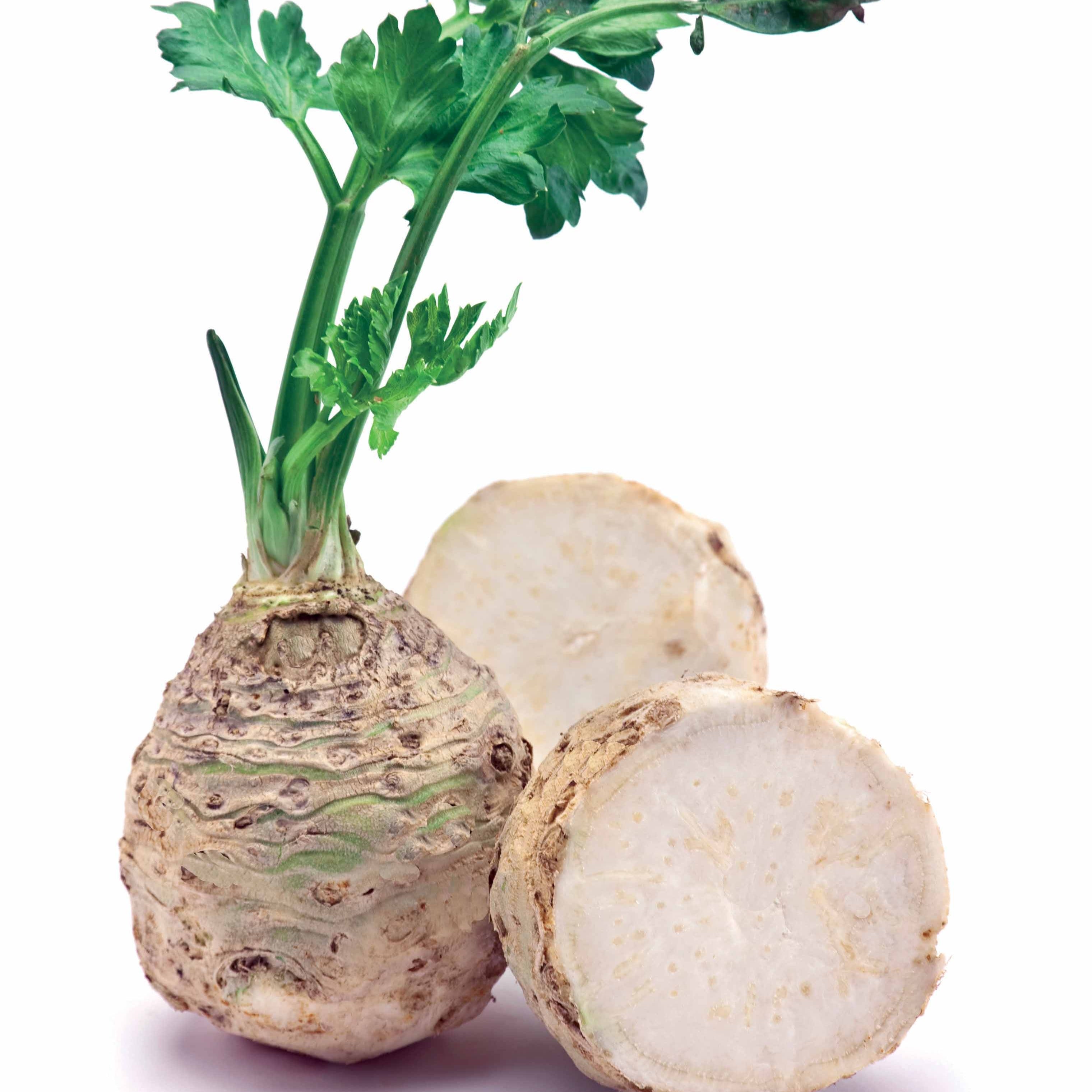 Découvrez les variétés de graines de céleri disponibles