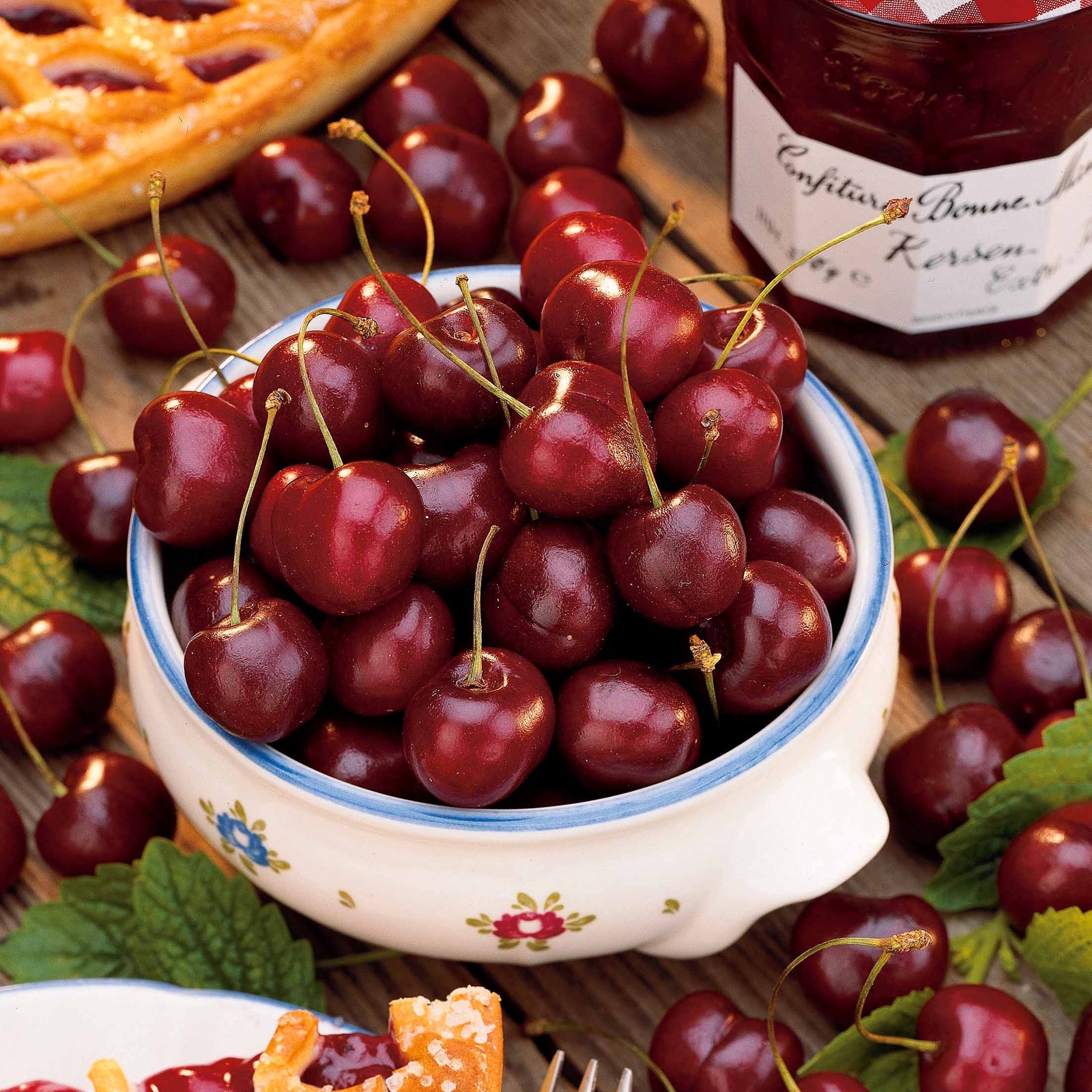 Cerisier Bigarreau Van - Prunus avium van