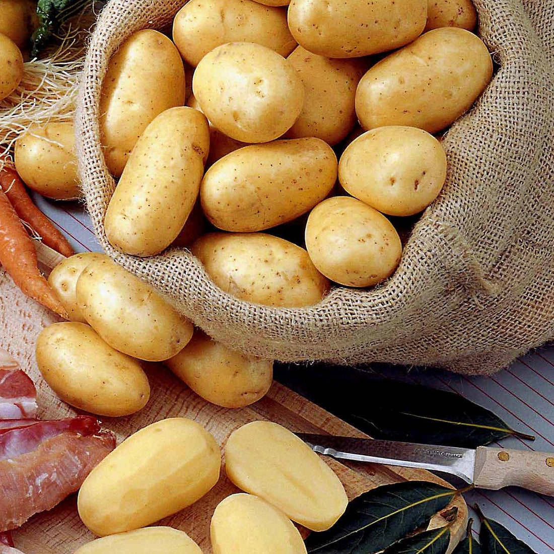 Patate douce - Ipomoea batatas