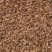 Graines Cumin - Cumin