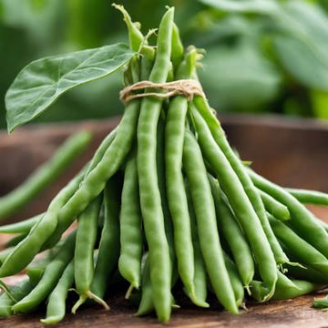 Guide étape par étape pour réussir la culture des haricots verts