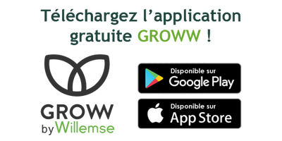 Découvrez les différentes variétés de pois