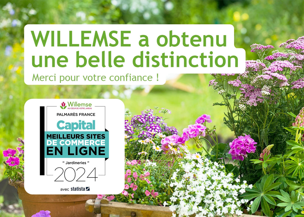 Willemse France – Jardinerie en ligne | Au coeur de votre jardin
