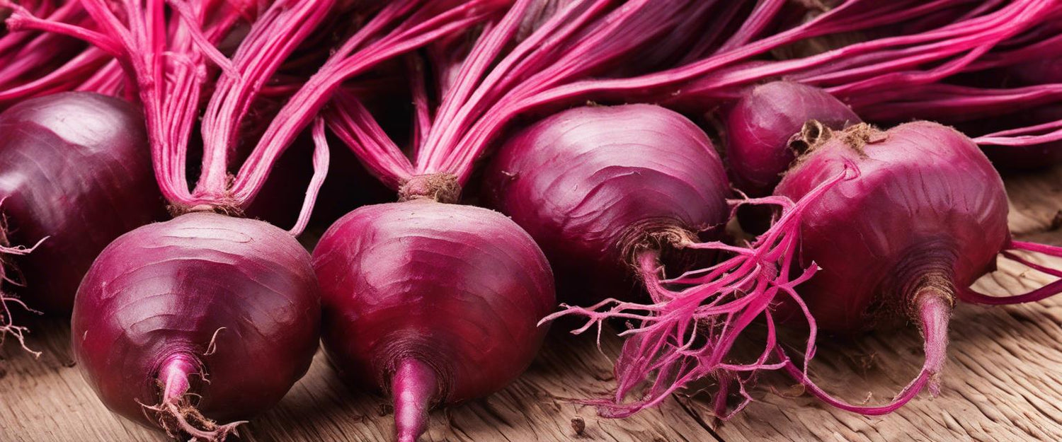 Betterave : Guide et Comparatif des Espèces