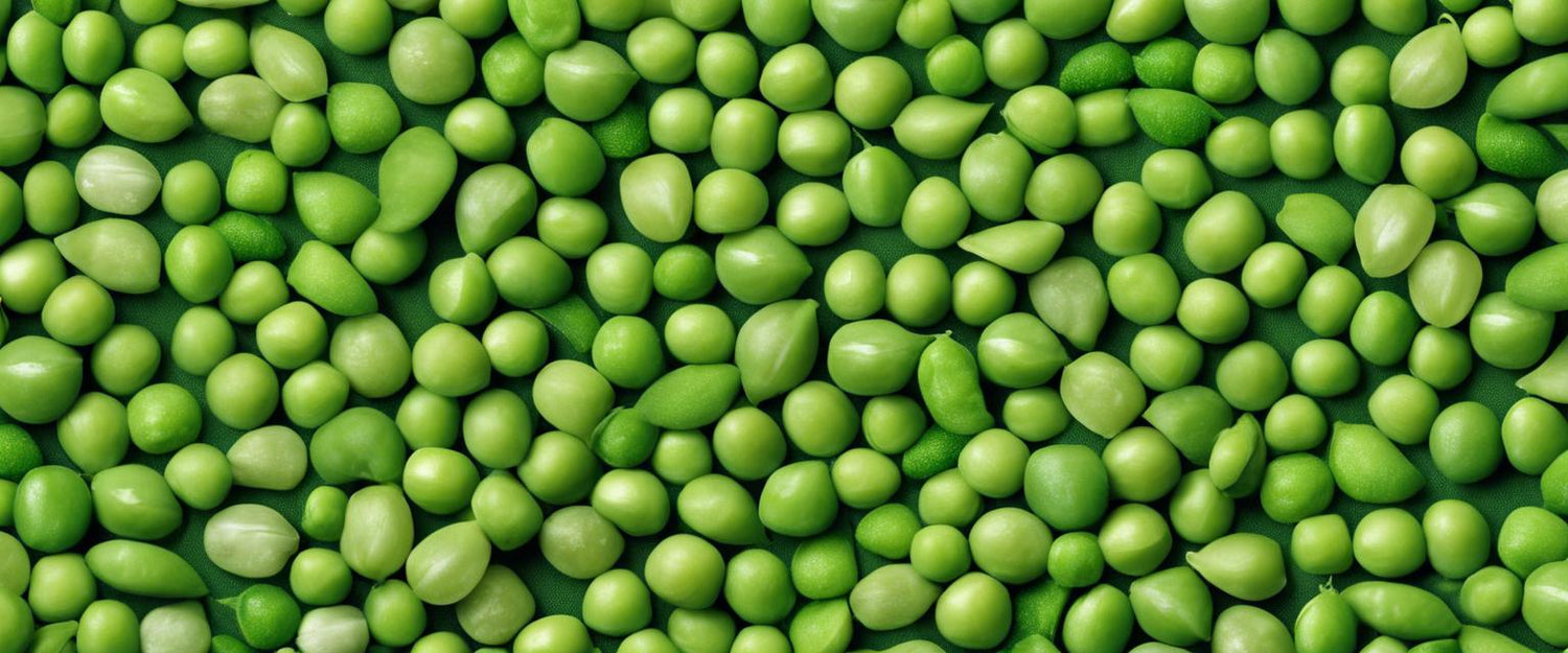 Découvrez les différentes variétés de pois