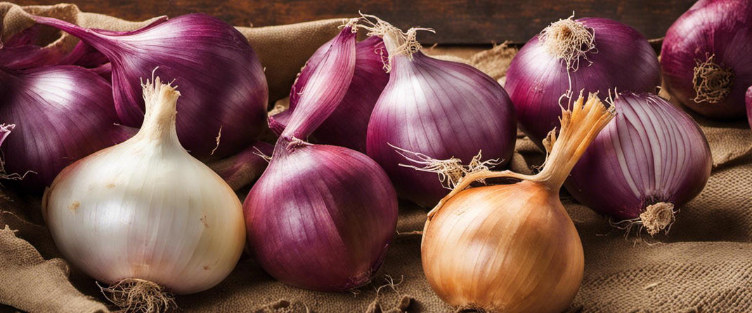 Découvrez les variétés d'oignons les plus appréciées et leurs saveurs