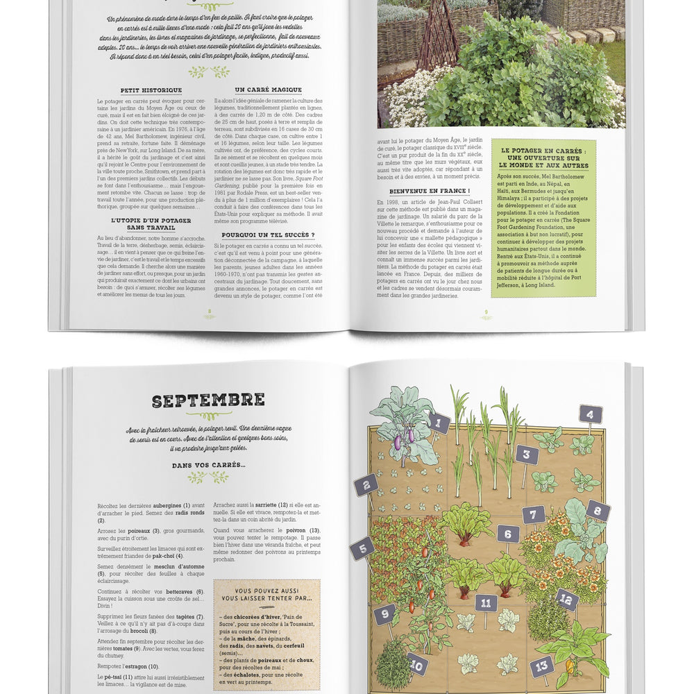Mon carré potager au fil des mois
