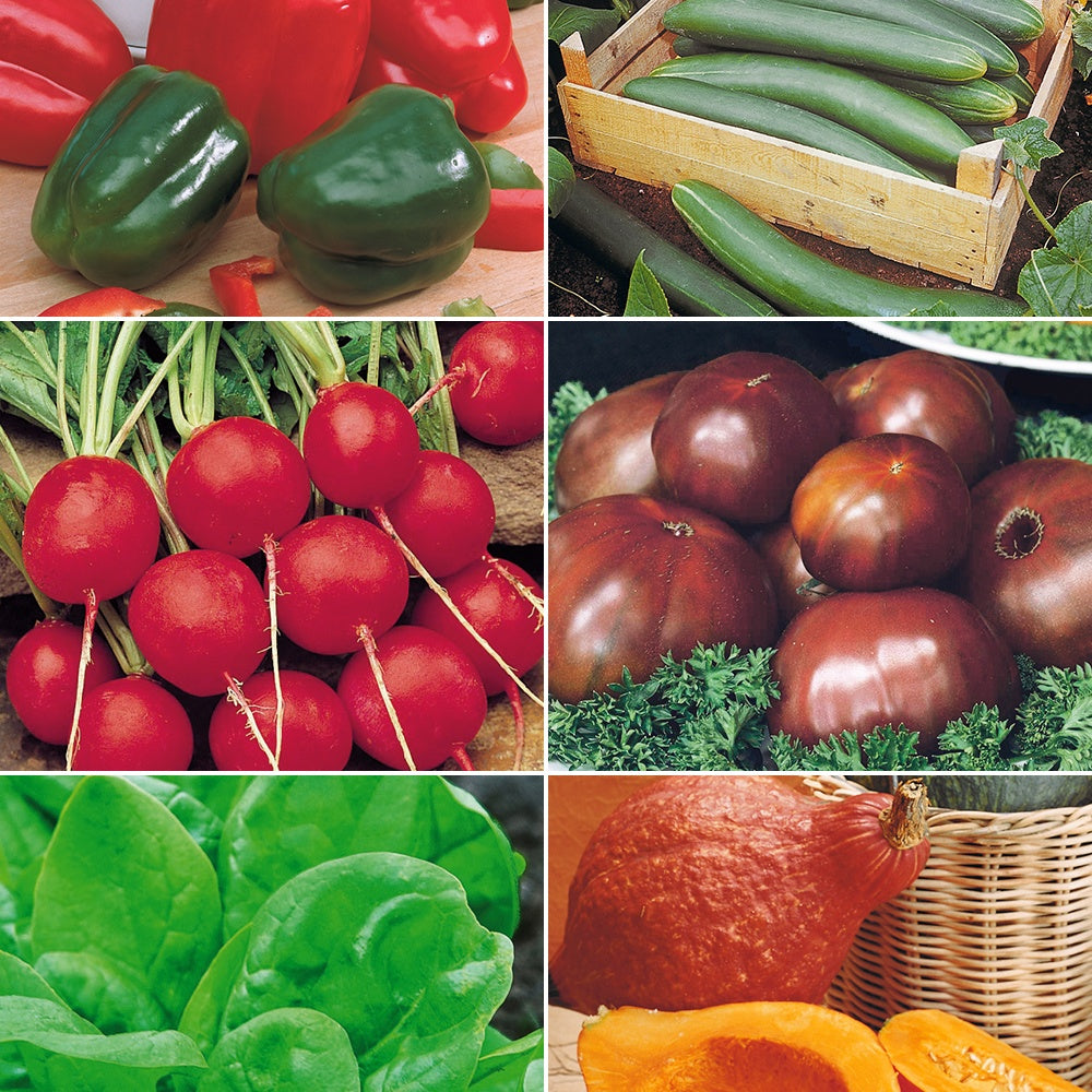 Graines Collection pour potager productif - Assortiment pour potager ...