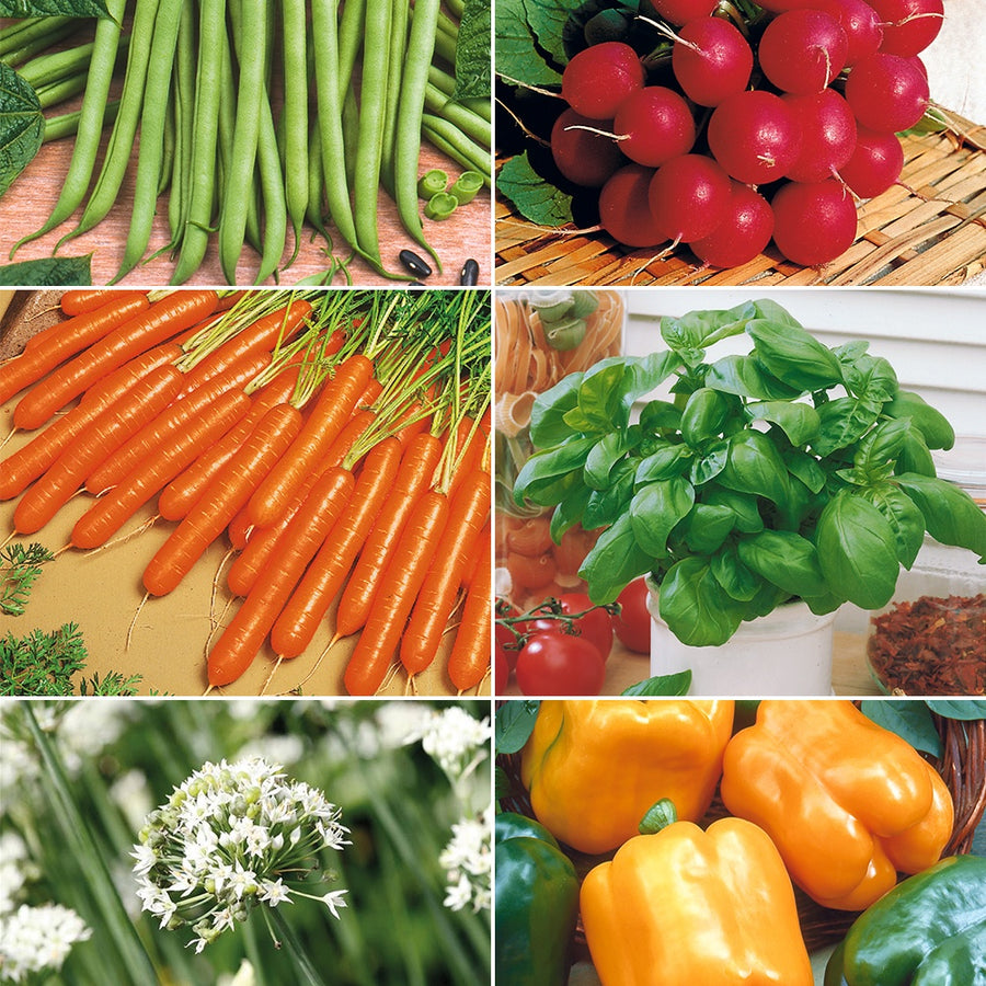 Graines Collection de graines pour carré potager #1 - Assortiment pour ...